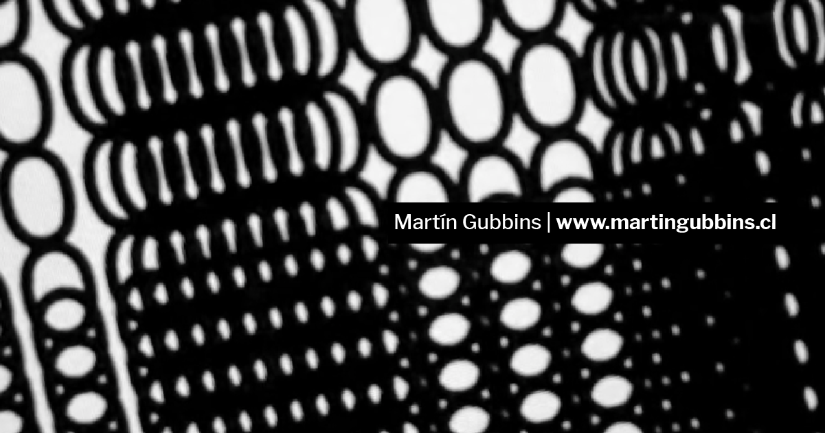 Martín Gubbins » Obra